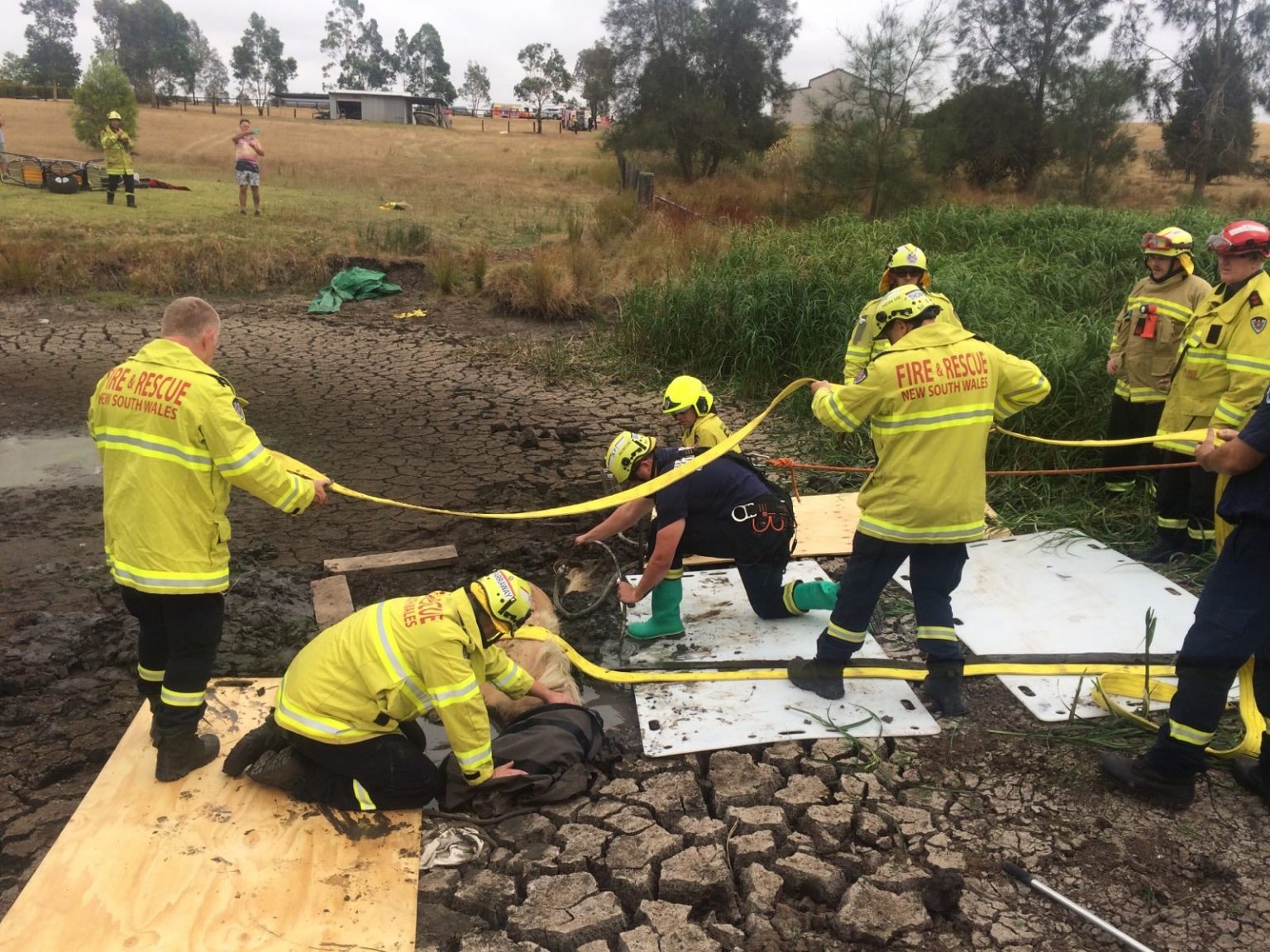 Glide Mat Systems | Large Animal Rescue Equipment