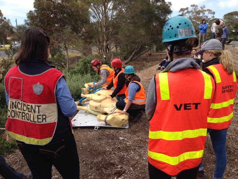 Glide Mat Systems | Large Animal Rescue Equipment