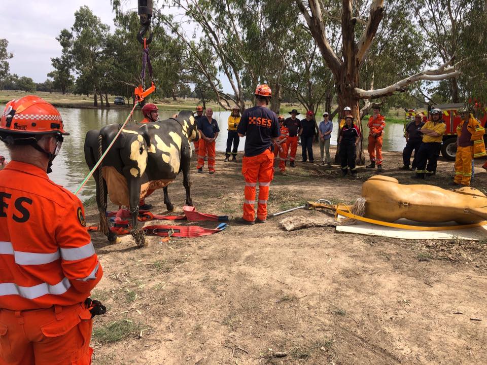 Our Gallery | Large Animal Rescue Equipment