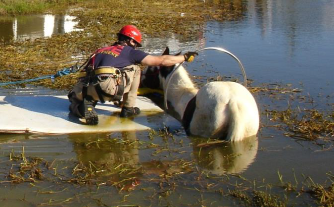 Water & Mud Products | Large Animal Rescue Equipment
